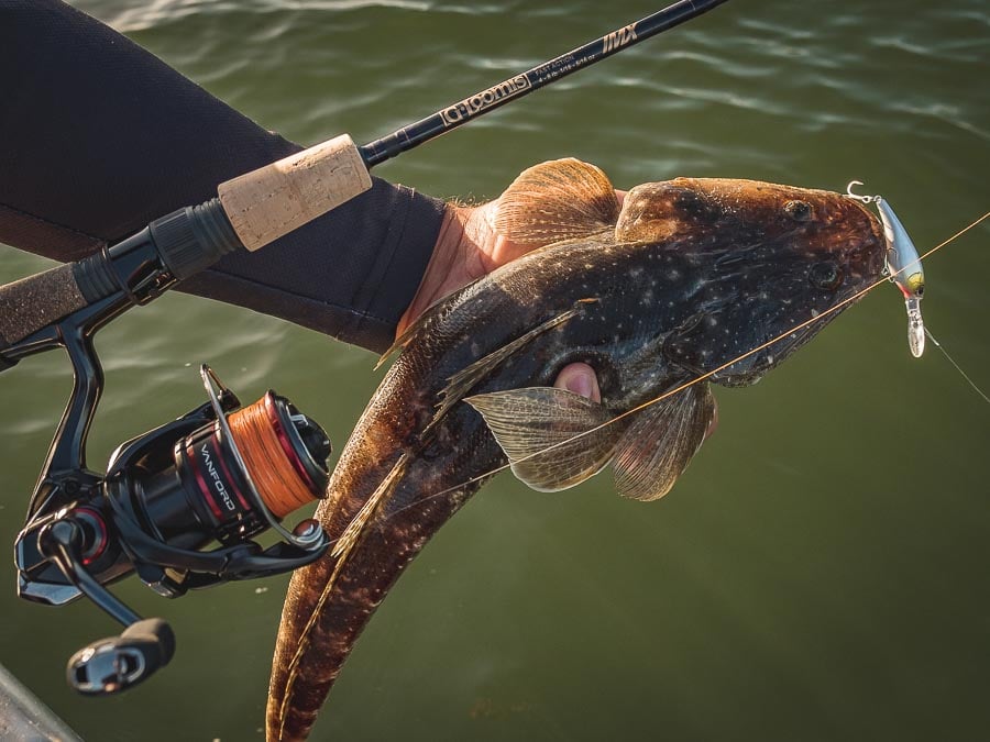 Castaway articles: How to catch flathead on lures